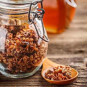 Earthborn Elements Bee Propolis, 1 Gallon Bucket, Pure & Natural, Bulk Size