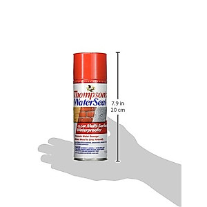 Thompson’s WaterSeal Multi-Surface Waterproofer Stain, Clear, 12 oz Aerosol Can