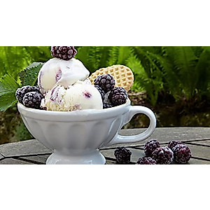 BlackBerry - Chester - THORNLESS - Non-GMO - Good Flavor, Large Berries - 2 Pack - Wrapped in Coco Coir - GreenEase by ENROOT