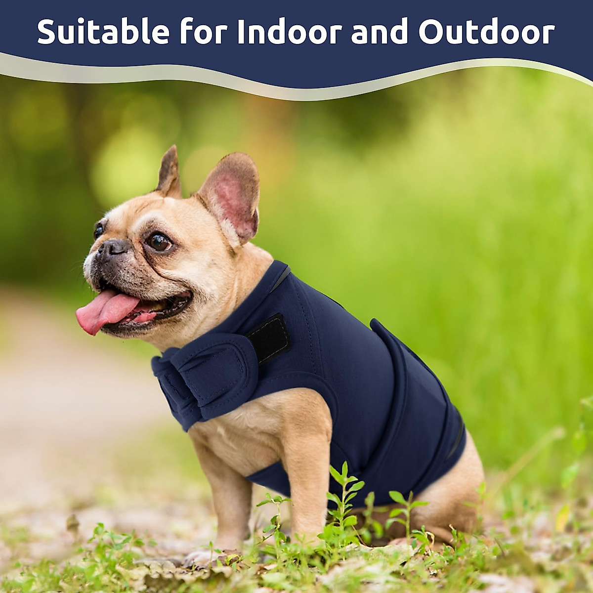 ASENKU Comfort Dog Jacket, Wrapped Dog Coat for Cold Weather, Elastic Puppy Sweatershirt, Pet Winter Coat Vest for Small, Medium & Large Dogs