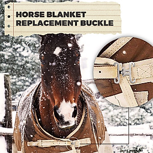 Harrison Howard 6PCS Hardware Horse Blanket Surcingle Buckle Replacement for Horse Sheets Surcingle Attachment 2 Sets