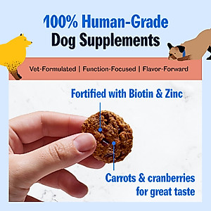 PetPlate Up to Fluff Soft Chews for Dogs, Skin & Coat Support, USDA Organic Supplement, Grain-Free, Human-Grade, Includes Salmon Oil and Biotin, Pet Supplies (Pack of 1, 9.8 Ounce)