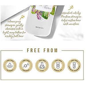 Pantene Essential Botanicals Rosemary and Lemon Volumizing Shampoo and Conditioner Set, 38.2 fl oz each