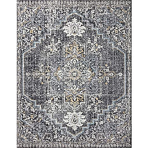 Loloi II Cassandra Collection CSN-02 Charcoal/Gold, Traditional 7'-10" x 10' Area Rug