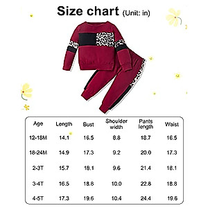 WESIDOM Baby Girl Clothes Sets, 2pcs Autumn Long Sleeve Clothes Outfits Toddler Girl Sweater Sets