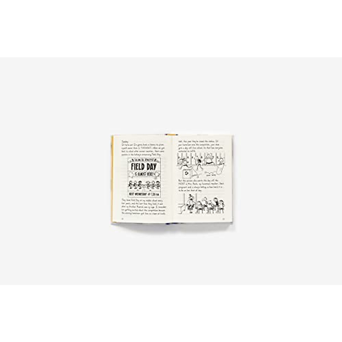 Big Shot Diary of a Wimpy Kid Book 16