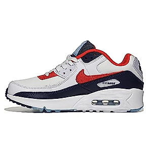 Nike Air Max 90 (Big Kid)