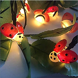 30LEDs Ladybug String Lights,AMZSTAR Waterproof Solar Light Indoor/Outdoor Decorative String Lights,Fairy Twinkle Wire Lights Solar Rope Light Decor for Christmas/Patio/Garden/Party (Warm whtie)