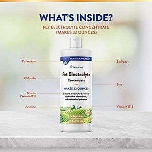 NaturVet Pet Electrolyte Concentrate for Dogs and Cats, 16 oz Liquid Concentrate, Made in The USA with Globally Source Ingredients