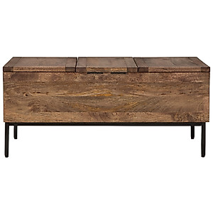 Signature Design by Ashley Braddick Trunk, Light Brown and Black