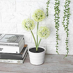 Voluxe Solar Flower Light, Solar Flower Pot Light, Solar Lamp Backyards Courtyards for Industrial Park Residential Square Home Gardens