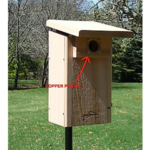 Kettle Moraine Copper Portal for Eastern Bluebird Bird Houses Predator Guard 1 1/2" Opening