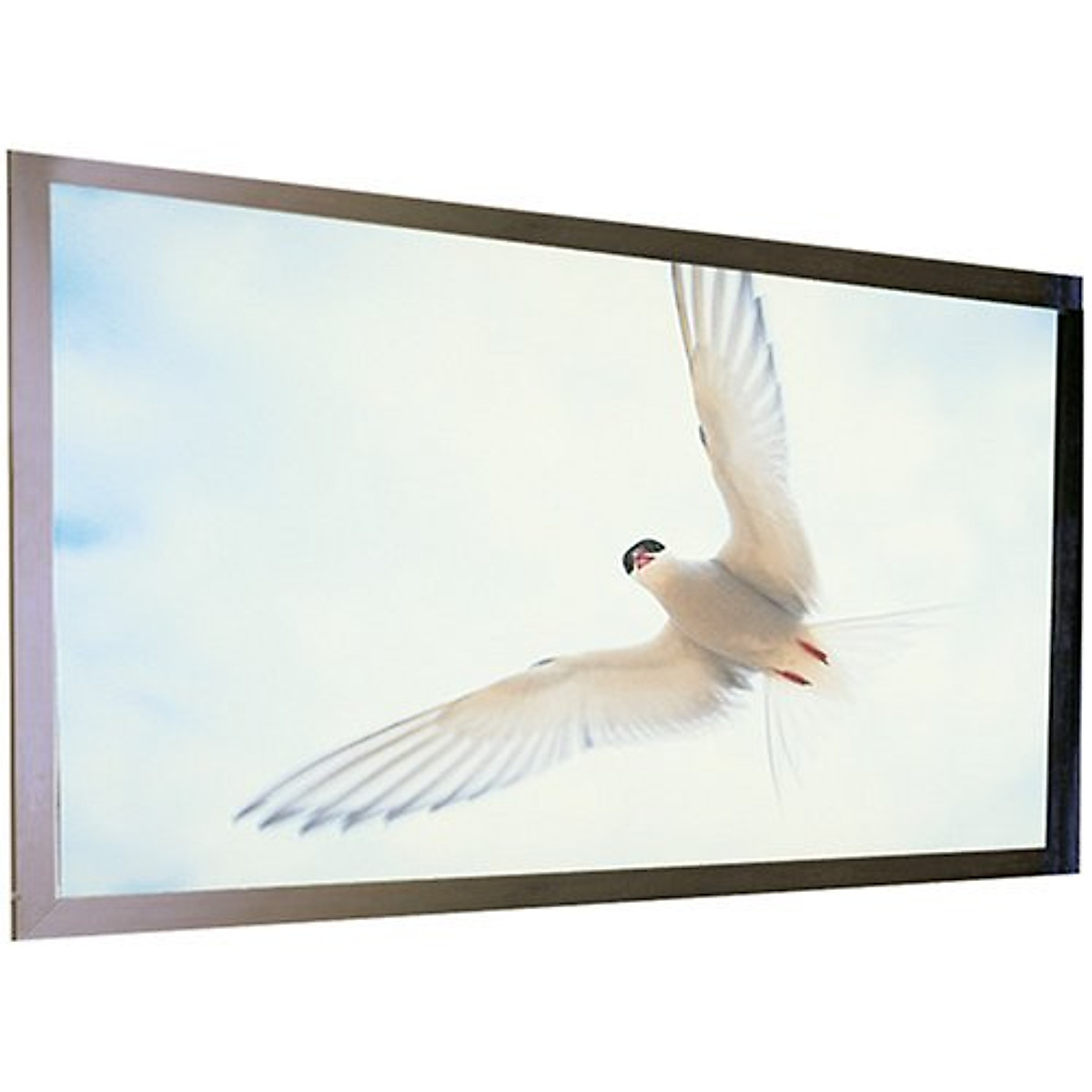 Draper 253287 M1300 92-Inch Onyx Premium 45-Inch X 80-Inch Fixed HDTV Screen - White