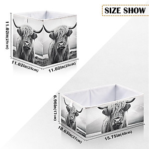 Kigai Storage Basket Highland Cow Foldable Storage Bin 11 X 11 X 11 Inches Cube Storage Baskets Box for Shelves Closet Laundry Nursery Bedroom Home Decor