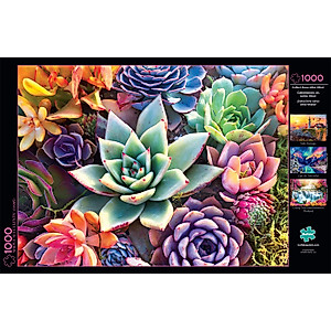 Buffalo Games - James Mertke - Simple Succulent - 1000 Piece Jigsaw Puzzle For Adults - High Quality Challenging Puzzle Perfect for Game Nights - Finished Puzzle Size is 26.75 x 19.75
