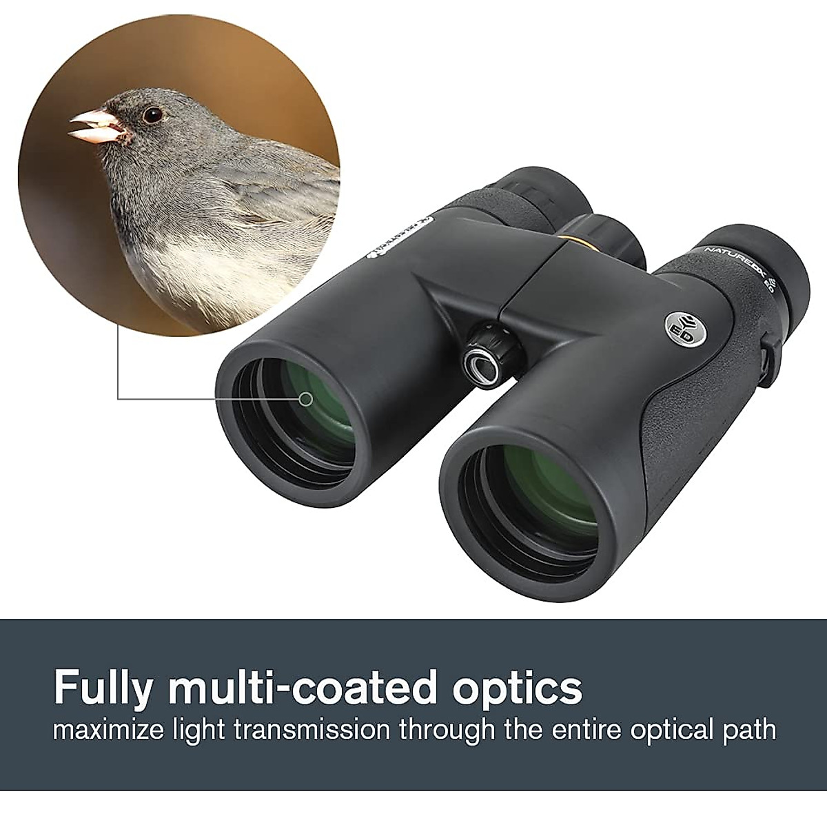 Celestron–Nature DX ED 8x42 Premium Binoculars –Extra-Low Dispersion Objective Lenses –Outdoor and Birding Binocular–Fully Multi-Coated with BaK-4 Prisms–Rubber Armored – Fog & Waterproof Binoculars