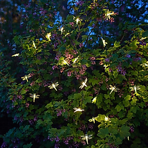 AMZSTAR Dragonfly Solar String Lights Outdoor, 19.7ft 8Modes 30 LED Waterproof Fairy Lights for Indoor/Outdoor Home Garden Lawn Fence Patio Party and Holiday Decorations (Warm White)
