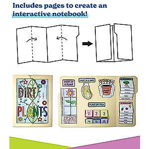In A Flash Plants Science Instructional Resources—Flash Drive With Lessons, Labs, Observation Journal, Templates, Songs, Posters, STEM Challenge, Plant E-Books, Grades K-2 (191 pgs)