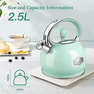 RETTBERG Tea Kettle for Stovetop Whistling Tea Kettles Retro Red Stainless Steel Teapots, 2.64 Quart (Mint Green)