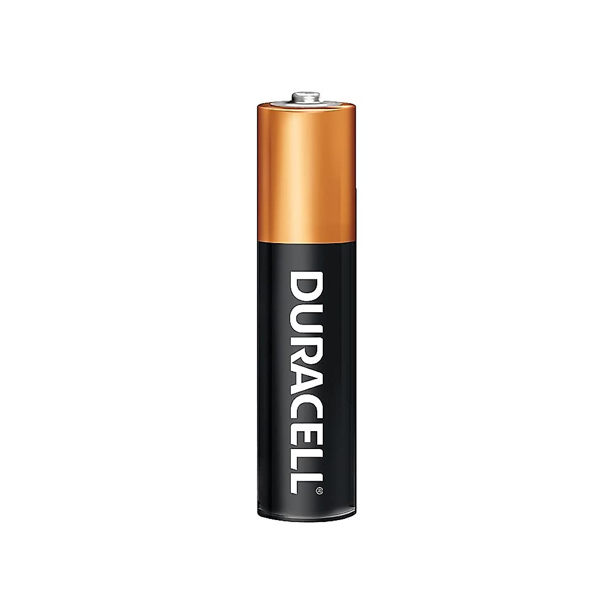 Duracell - CopperTop Alkaline Batteries with Duralock Power Preserve Technology, AAA, 16/Pk MN2400B16Z (DMi PK