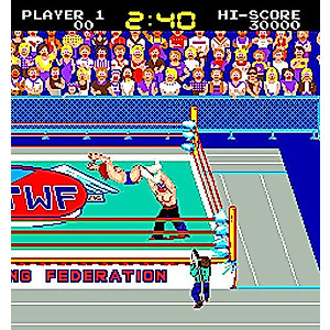 Blaze Evercade Technos Arcade Cartridge 1 - Nintendo DS