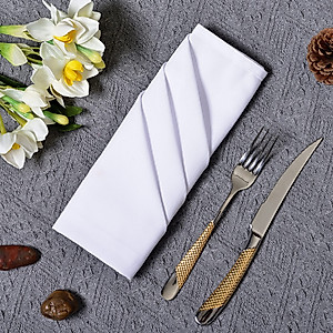 Alevel Cloth Napkins 20x20 Inch 12 Pack, Embroidered Table Napkins, 250 GSM Thick Absorbent, Soft Washable Dinner Napkins (White1)