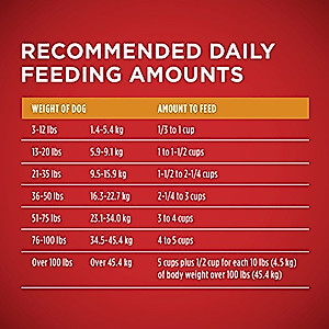 Purina ONE Chicken and Rice Formula Dry Dog Food - (Pack of 4) 4 lb. Bags