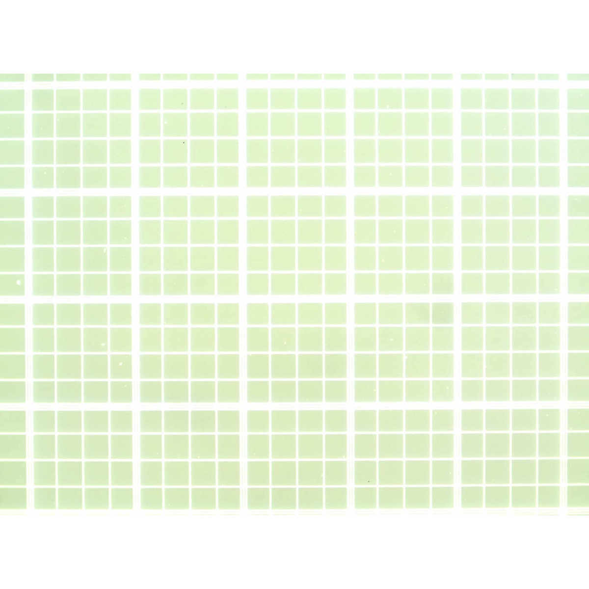 Microyn Improved Neubauer Hemocytometer, Cell Counting Chamber with Bright Line and Two Cover Glasses.