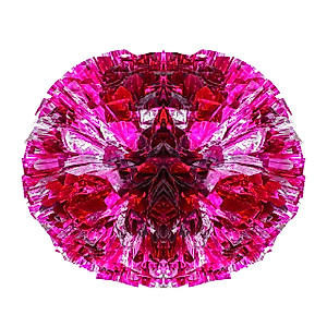 Zombies Cheerleader Costume for Girls Rose Dress Two Cheerleader Pom Poms Matching Hair Rope