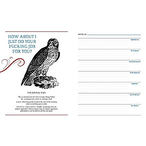 Effin' Birds Undated Monthly/Weekly Planner Calendar: A Field Guide to Identification