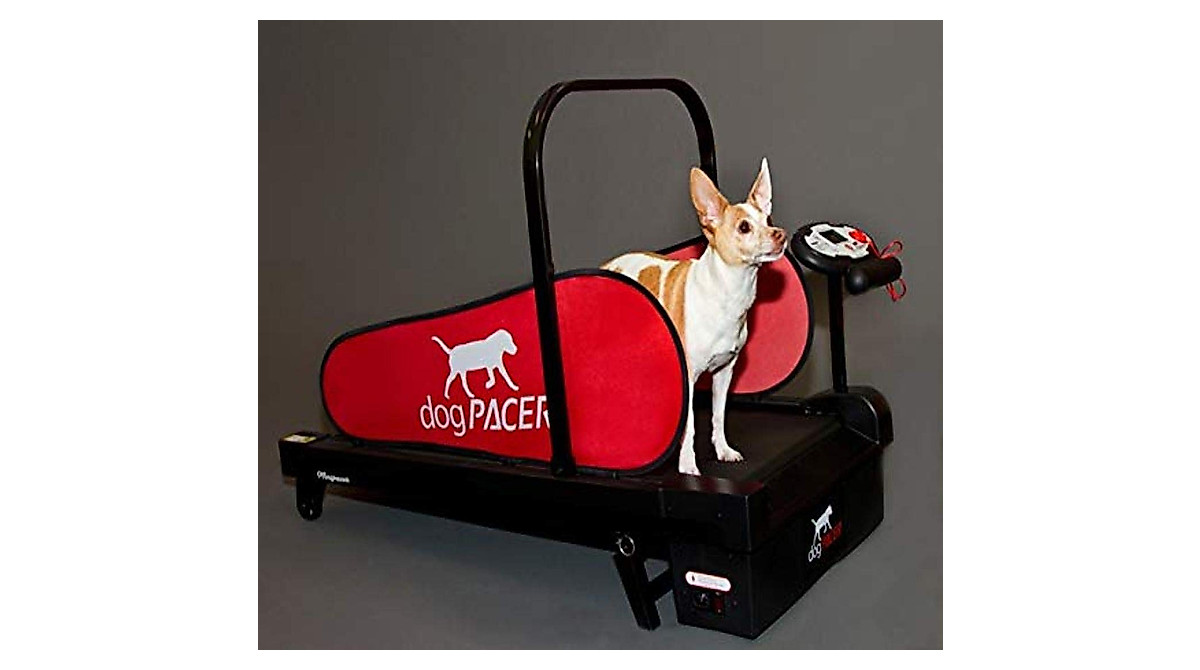 dogPACER MiniPACER Treadmill for Small Dogs