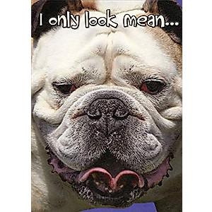 Designer Greetings Only Look Mean Bulldog Funny : Humorous Dog Birthday Card