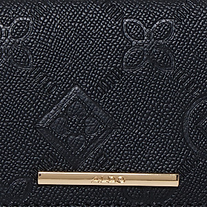 ALDO Women's Iconipouch Wallet, Black