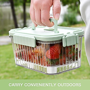 2 Pack Food Storage Containers with Lid, Portable Fruit Saver Berry Snack Keeper Container with Handle & Ice Sheet & Fork, Keep Fruits Food Fresh, for Fridge, Picnic, Office, Party, Camping (Yellow)