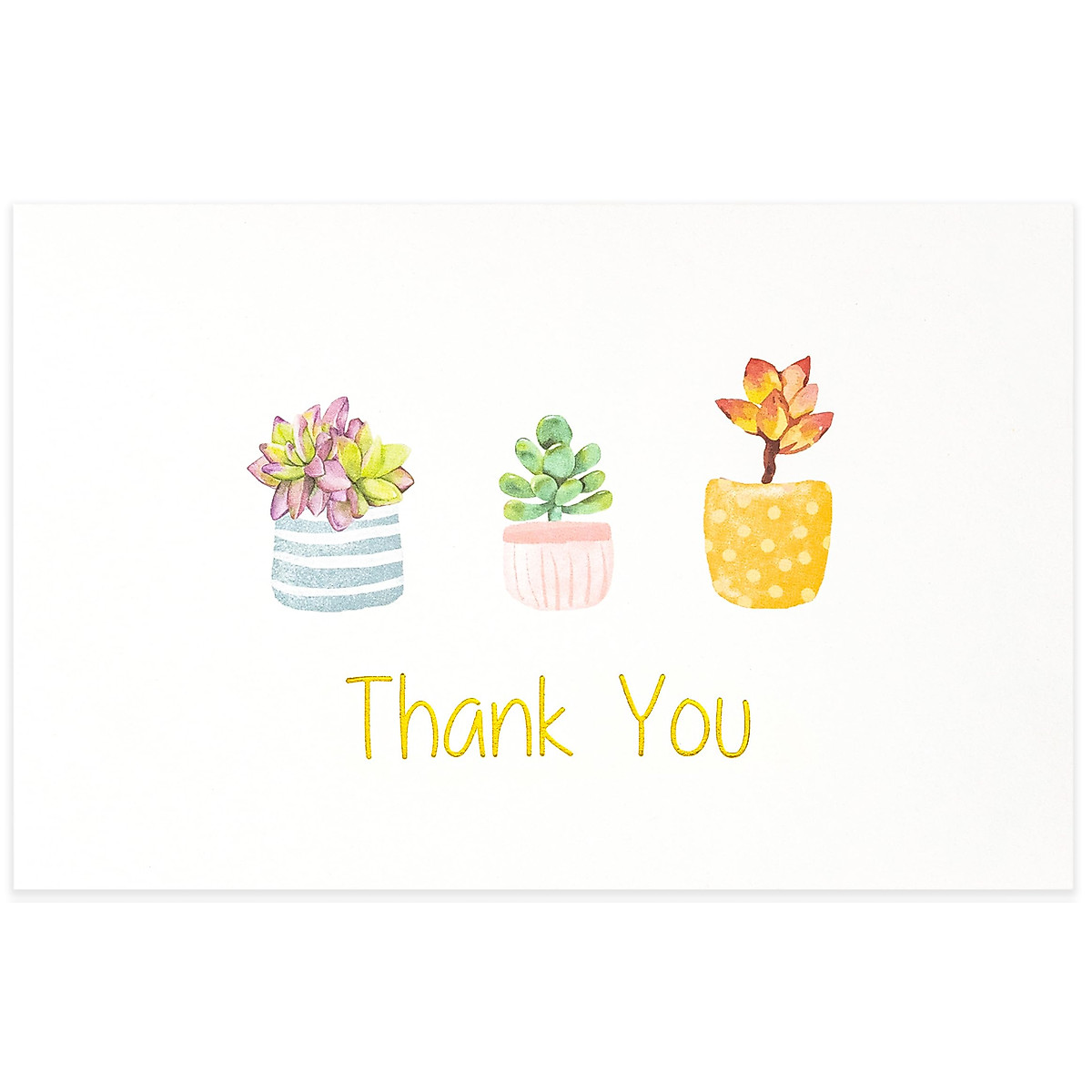 Crisky Printable Succulent Thank You Cards with Envelopes (50 Pack) & Stickers Greeting Notes Bulk, greenery plants for Birthday, Baby Shower,Bridal Shower, Wedding, Graduation