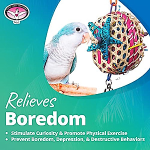 Super Bird Creations SB573 Basket Case Bird Toy, Medium Bird Size, 10" x 4"