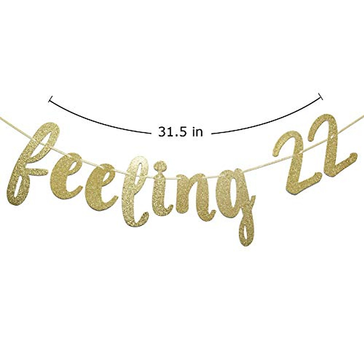 Feeling 22 Glitter Banner , 22nd Birthday Banner, 22nd Birthday Decor (Gold)