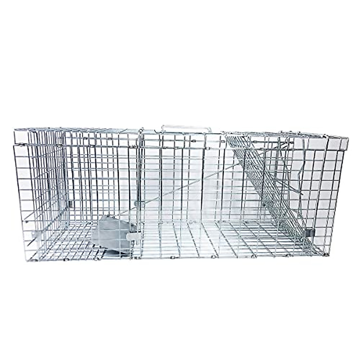 Large Collapsible Humane Live Animal Cage Trap No-Kill Trapping Kit for Humane Catch Release Rabbits, Stray Cat, Squirrel, Raccoon, Other Fit Sized Animals, Heavy Duty, 2-Door -31" x 11.5" x 12.5"