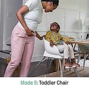 Ingenuity Beanstalk Baby to Big Kid 6-in-1 High Chair Converts from Soothing Infant Seat to Dining Booster Seat and more, Newborn to 5 Yrs - Ray