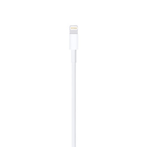 Apple Lightning to USB Cable (2 m)