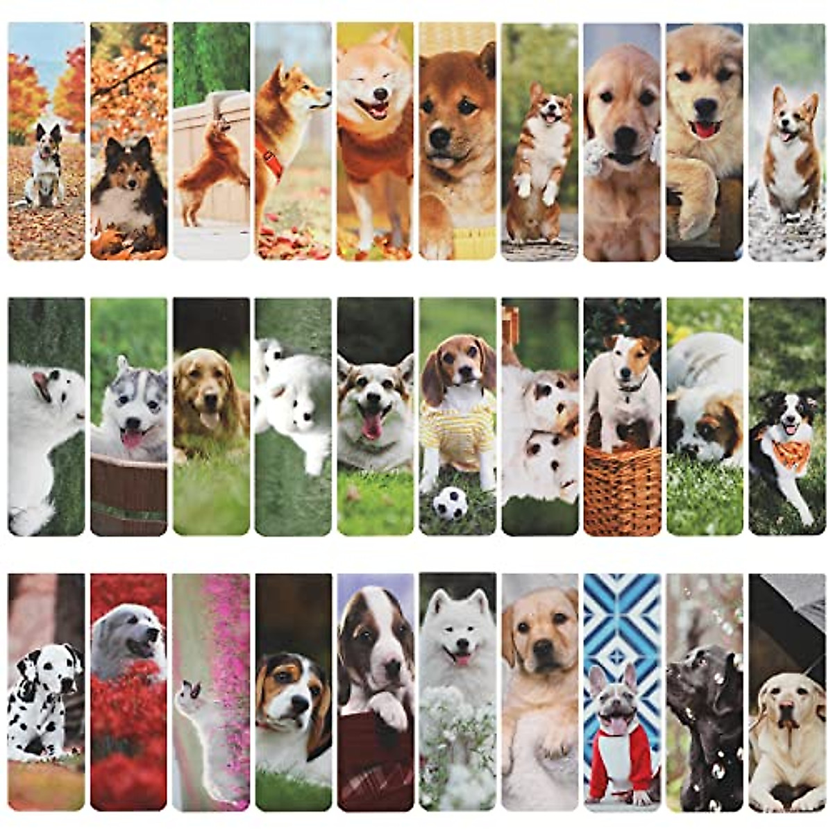 MWOOT 30Pcs Magnetic Bookmarks, Cute Dogs Magnet Book Marks Set, Double-Sided Lovely Puppy Magnetic Page Clips Bookmark in Bulk for Kids Students School Office Home Reading Supplies(30 Styles,6x2CM)