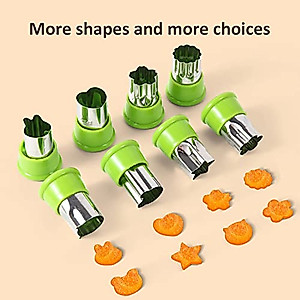 HUAFA Vegetable Cutter Shapes Set,Fruit and Cookie Stamps Mold,Cookie Cutter Decorative Food,Baking and Food Supplement Tools Accessories Crafts for Kitchen,Orange,8 Pcs