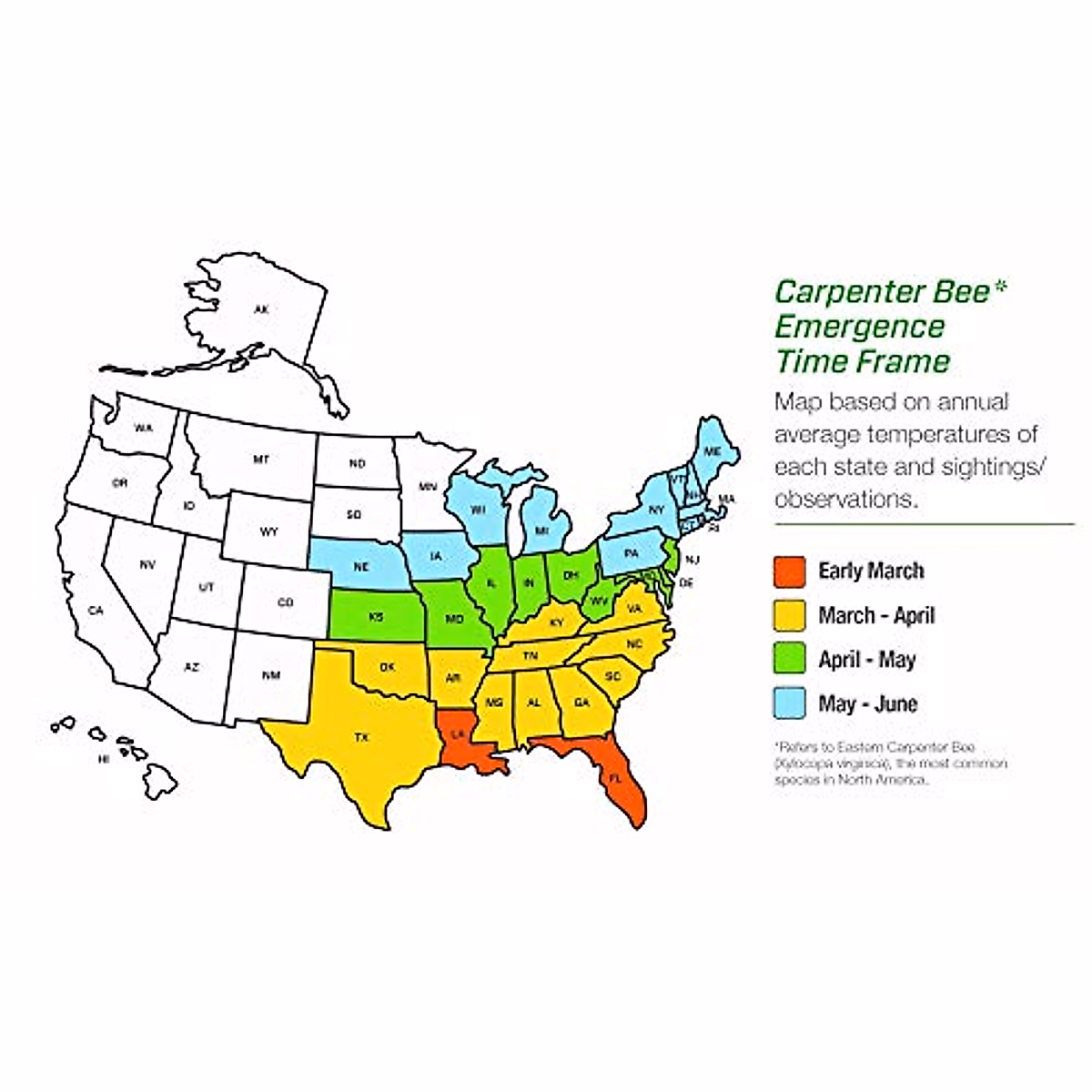 Rescue! Carpenter Bee TrapStik – Also Works on Wasps, Mud Daubers