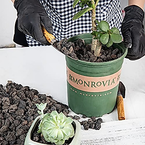 Ausluru 5lbs Natural Lava Rocks Fire Stone Granules for Gardening Soil, Volcanic Fire Pit Lava Rocks Ideal for Fireplaces Fire Pits, Plants Cultivation and Aquariums, Black