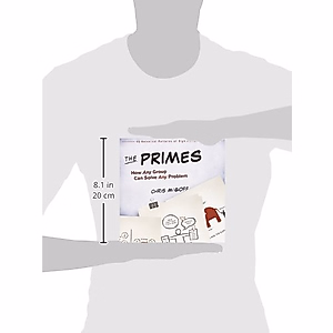 The Primes: How Any Group Can Solve Any Problem