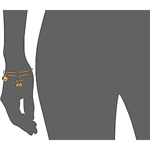 Alex and Ani Womens Because I Love You A18BILY08RG Goddaughter Charm Bangle Bracelet, Rafaelian Gold, Expandable