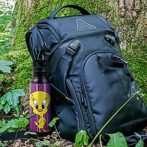 Looney Tunes OFFICIAL Tweety Bird Pose 24 oz Insulated Canteen Water Bottle, Leak Resistant, Vacuum Insulated Stainless Steel with Loop Cap, Black