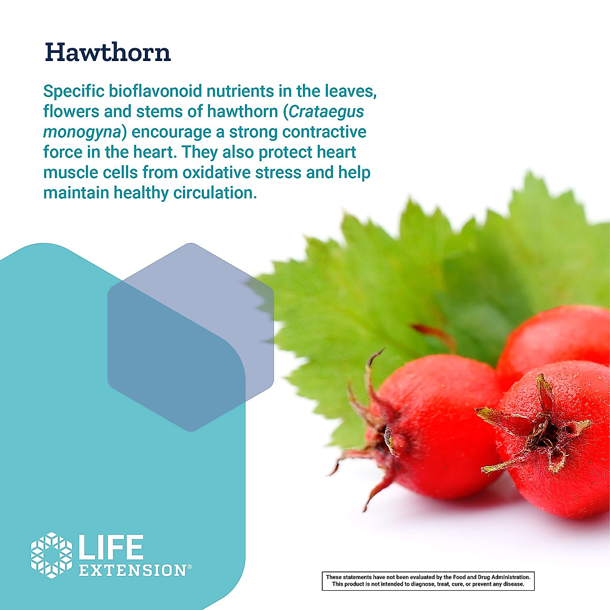 Life Extension Cardio Peak - Hawthorn Extract (Leaf, Flower, Stem) Supplement with Arjuna Extract for Heart Health Support - Twice Daily - Gluten Free, Non-GMO, Vegetarian - 120 Capsules