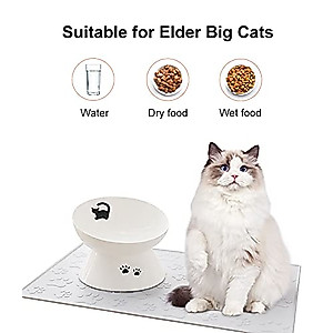 immaculife Ceramic Raised Cat Food Bowl, Slanted Cat Dish, Tilt Angle Protect Cat's Spine, Stress Free, Backflow Prevention