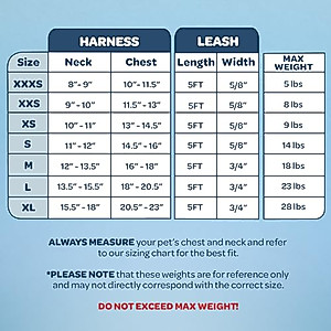 Voyager Step-in Air All Weather Mesh Harness and Reflective Dog 5 ft Leash Combo with Neoprene Handle, for Small, Medium and Large Breed Puppies by Best Pet Supplies - Set (Fuchsia), S